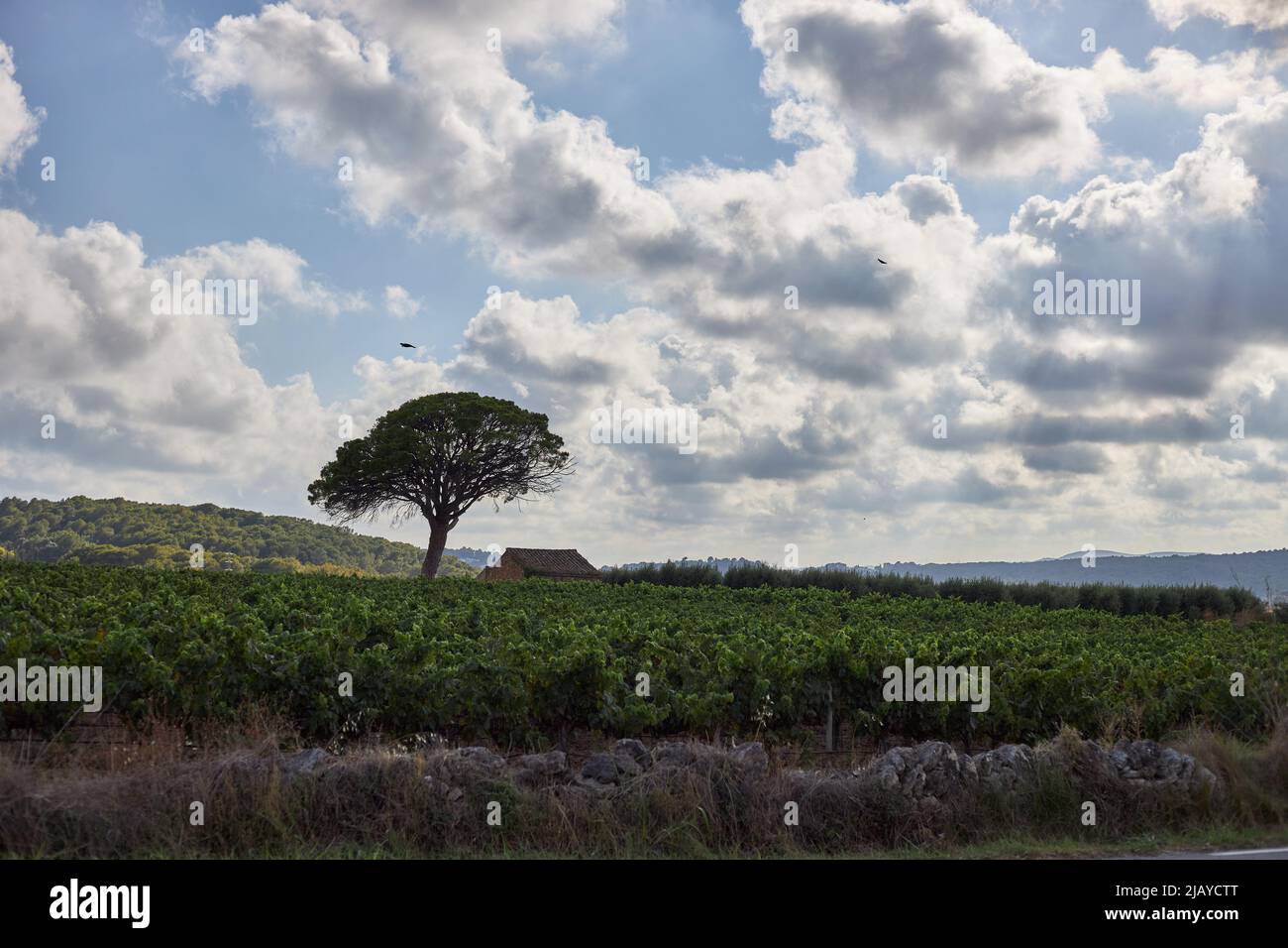 Spring in spain hi-res stock photography and images - Alamy