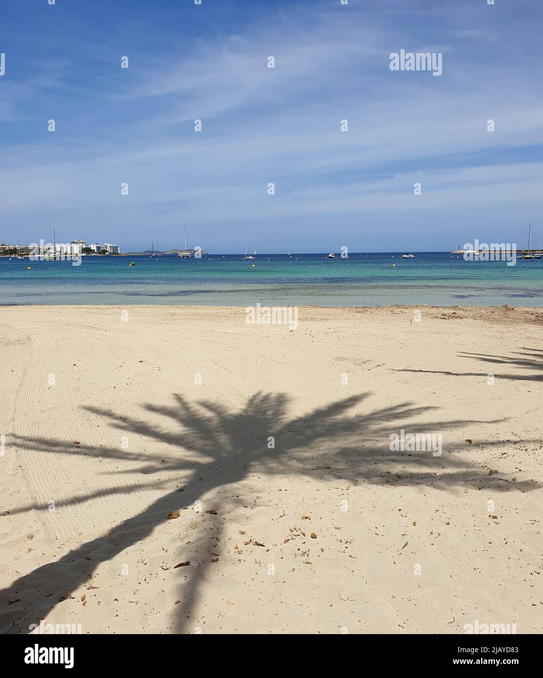 Palm tree shadow on the sandy beach in Ibiza, relaxation in Spain Stock ...