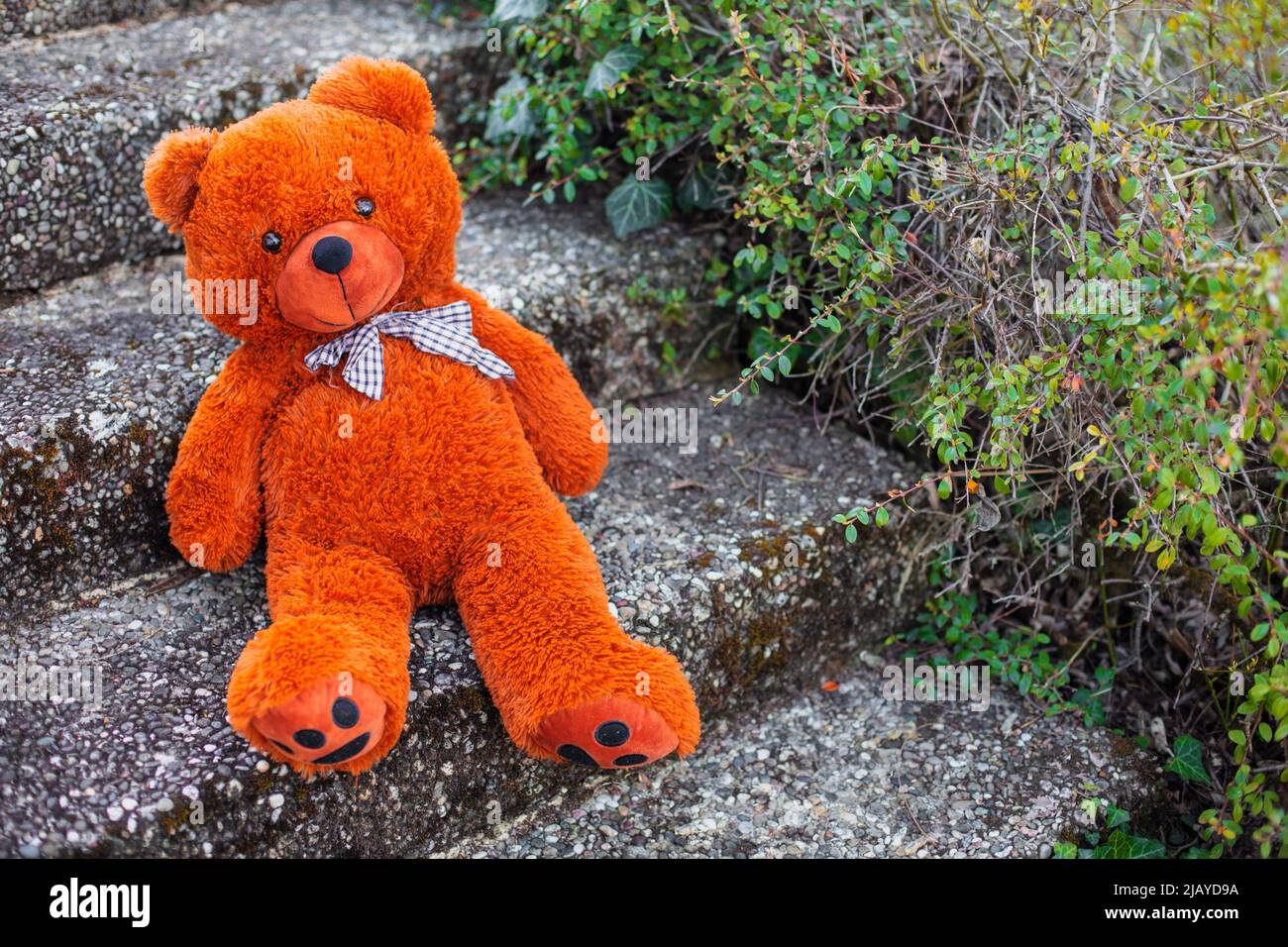 Teddy bear on stairs hi-res stock photography and images - Alamy