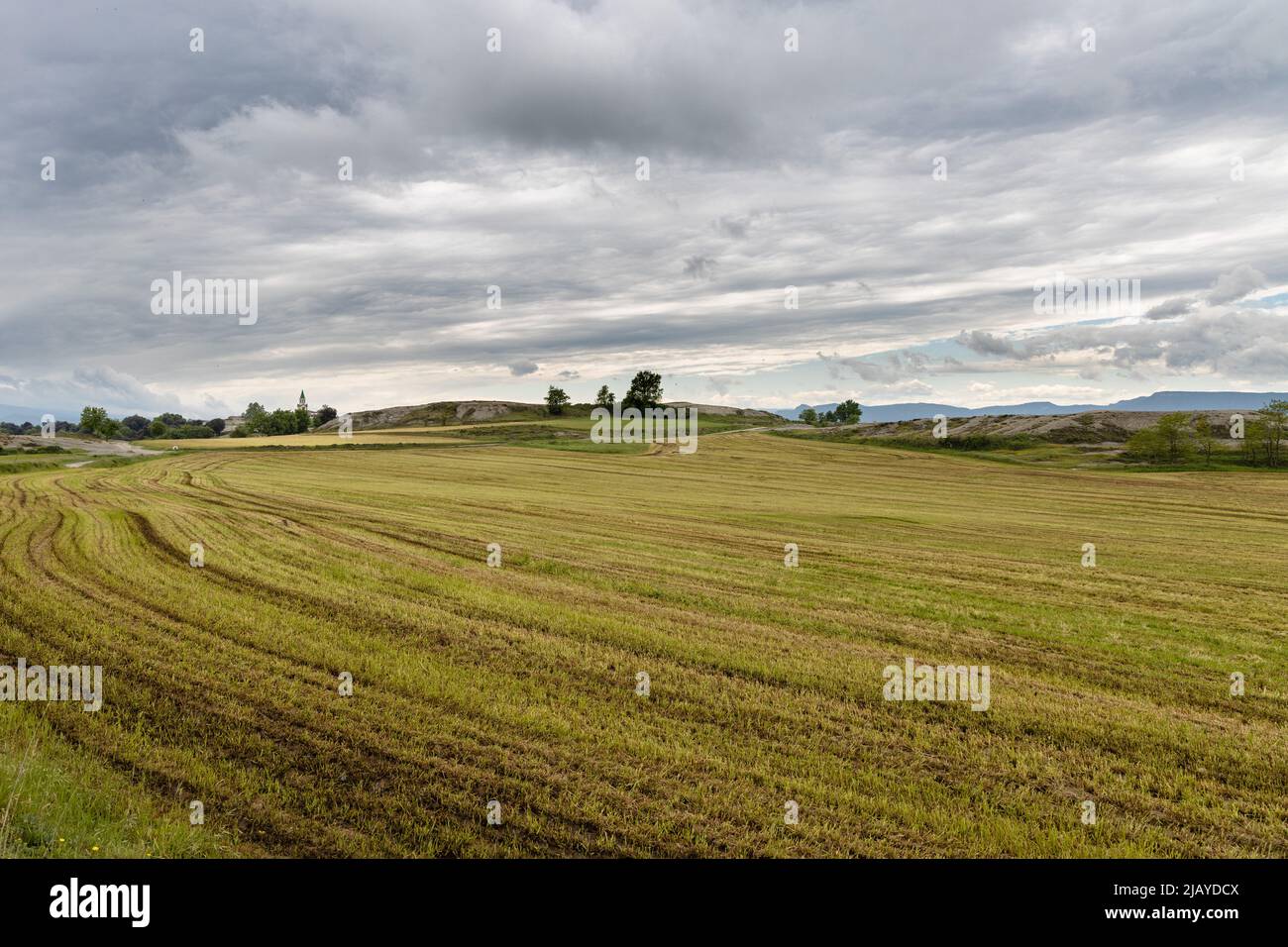 Green field after irrigation with manure, cloudy sky in spring, Spain ...