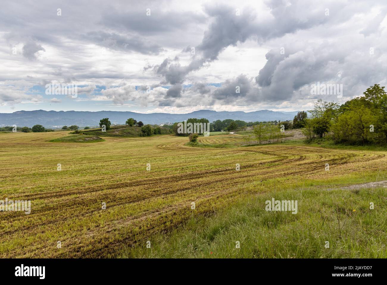 Green field after irrigation with manure, cloudy sky in spring, Spain ...