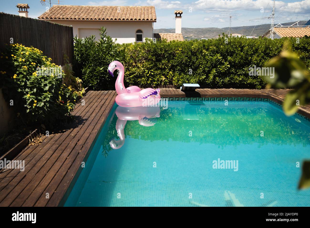 Inflatable pink flamingo in the private swimming pool, Spain Stock ...