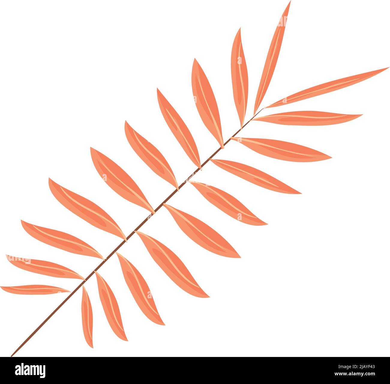 orange leaf design Stock Vector Image & Art - Alamy