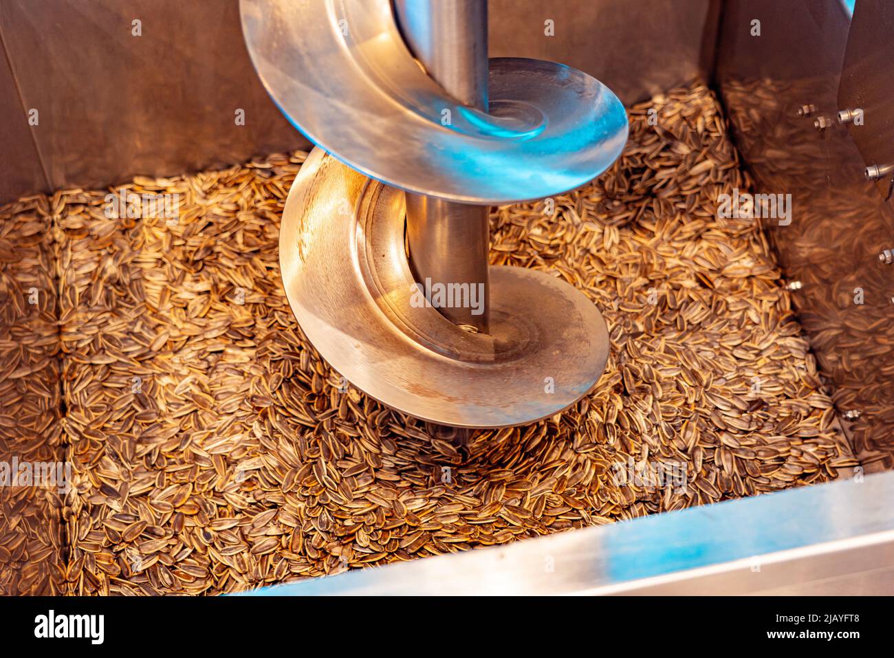steel auger picks up sunflower seeds for cooking Stock Photo - Alamy