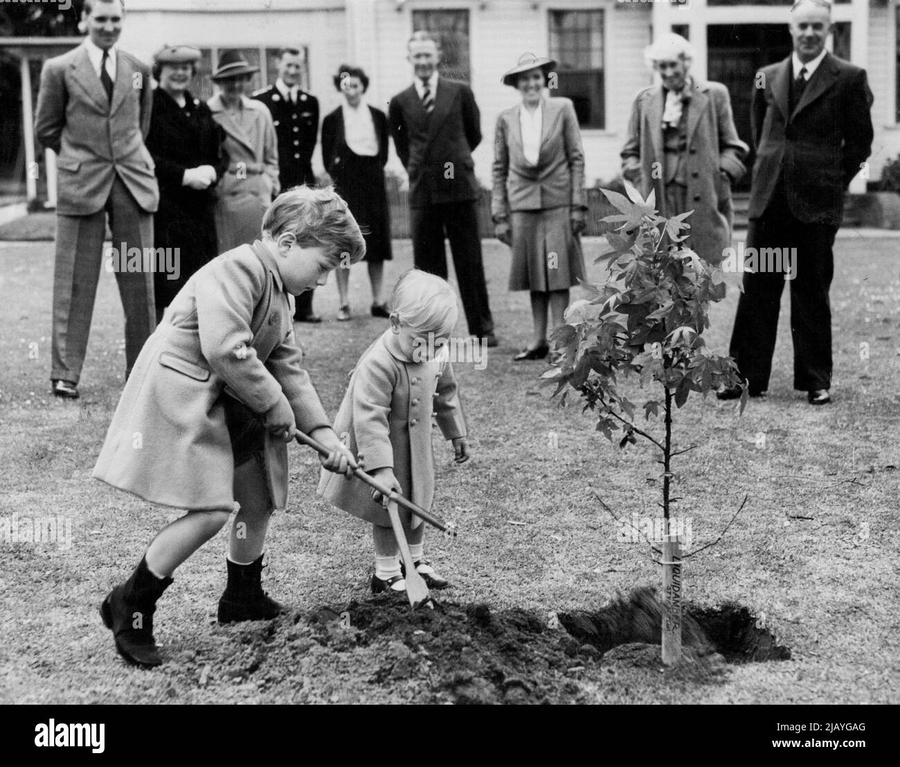 Black People Planting Trees