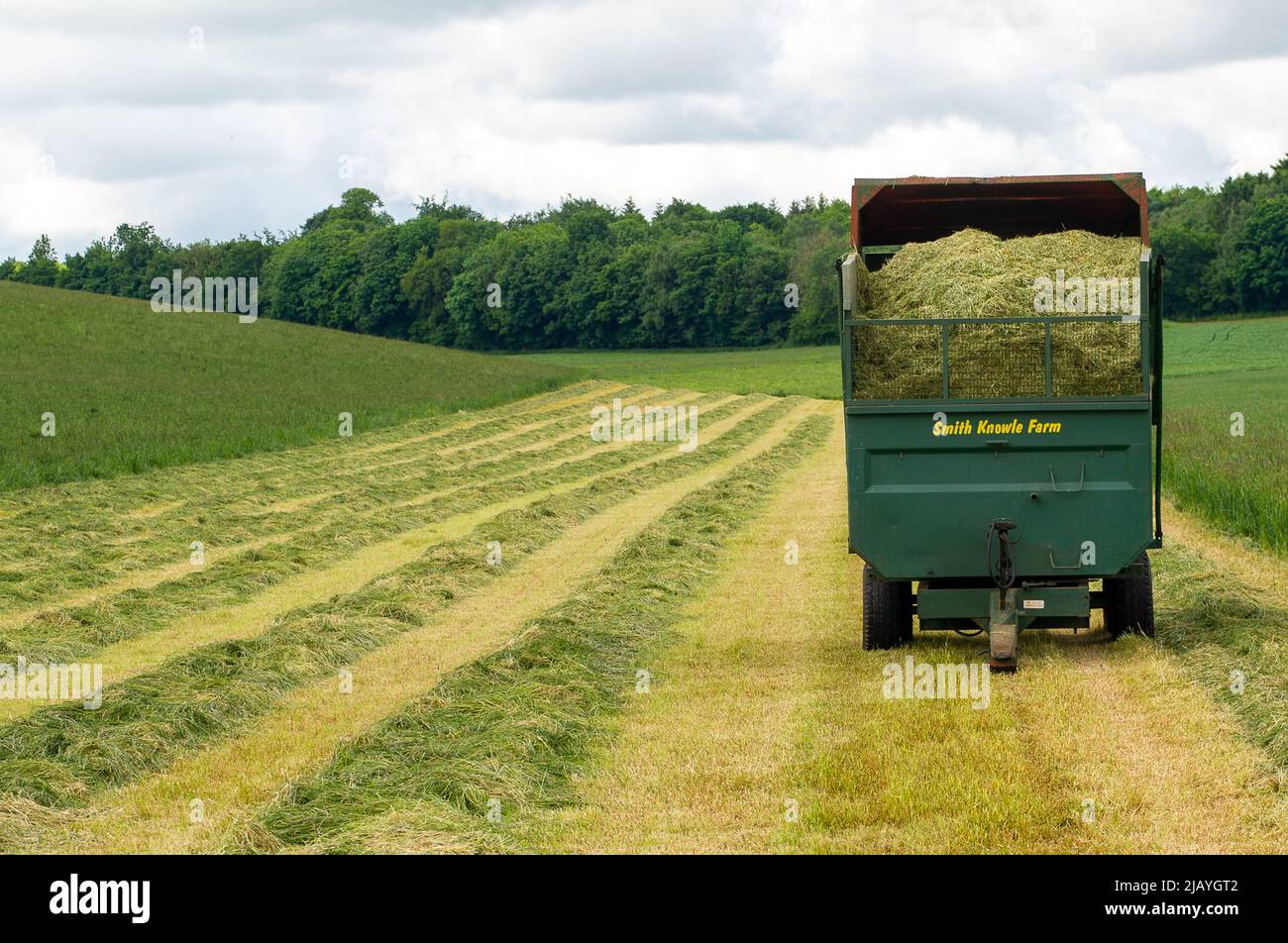 Bailed hay hi-res stock photography and images - Alamy