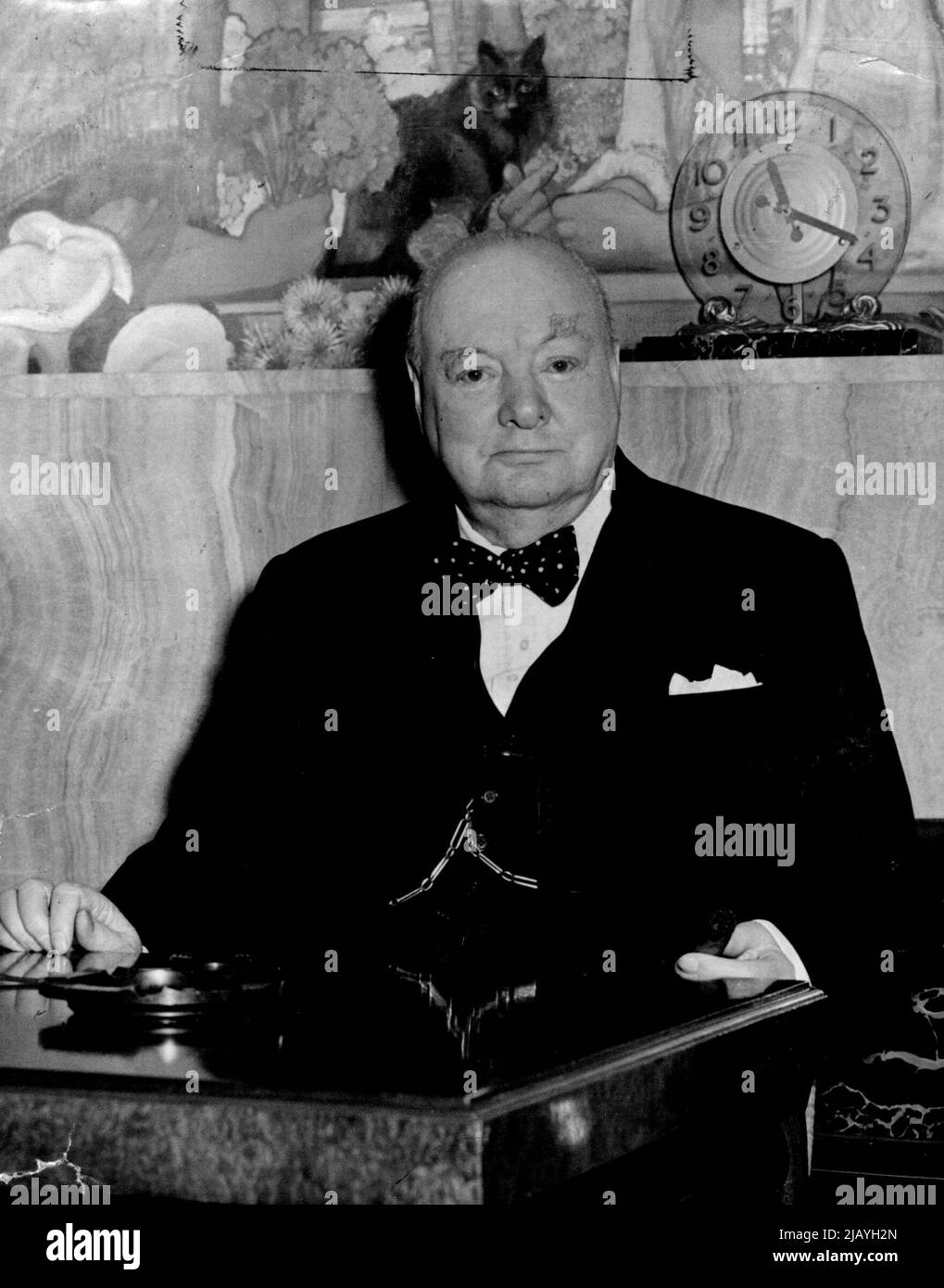 Good Luck For Churchill -- A black cat perches above the head of ...