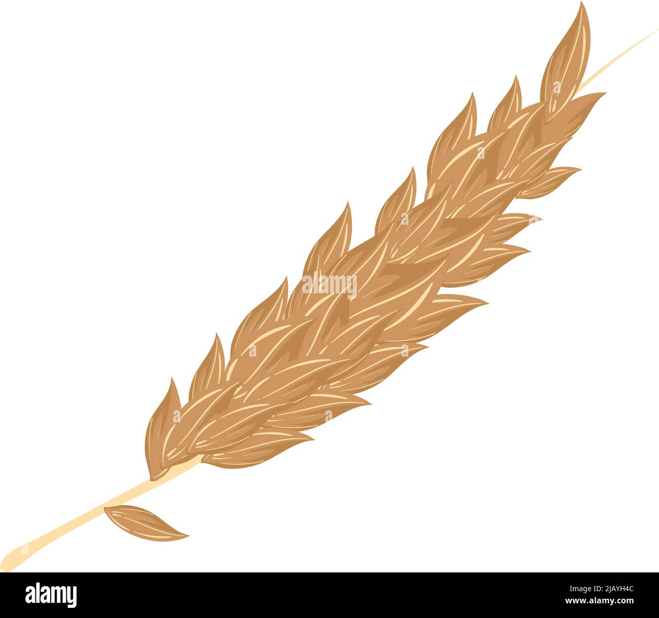 golden barley design Stock Vector Image & Art - Alamy