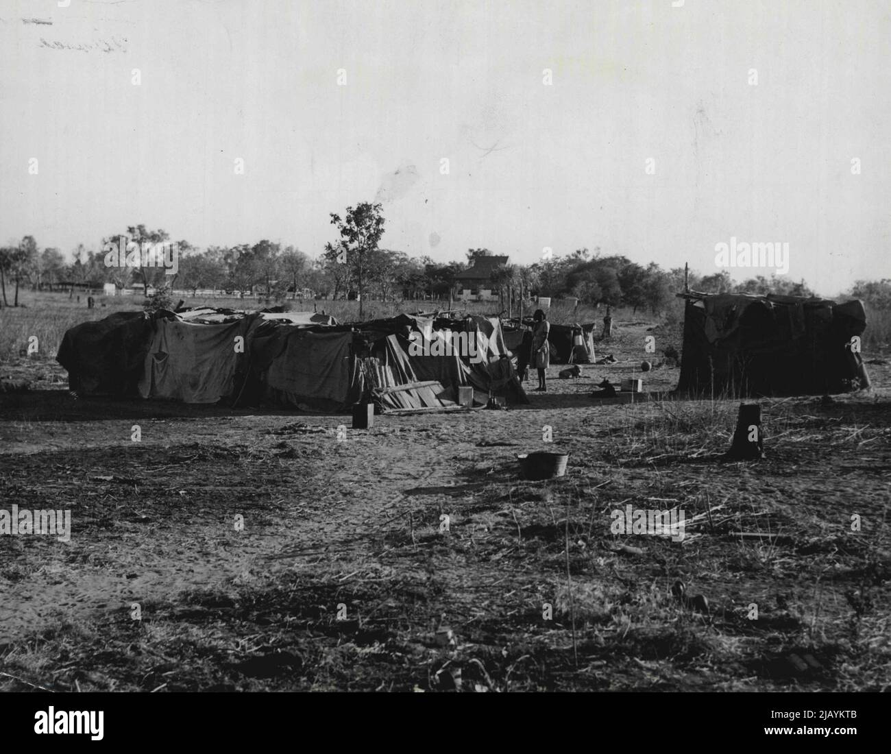 Natives working on a cattle station, and their dependants. Ignorance ...