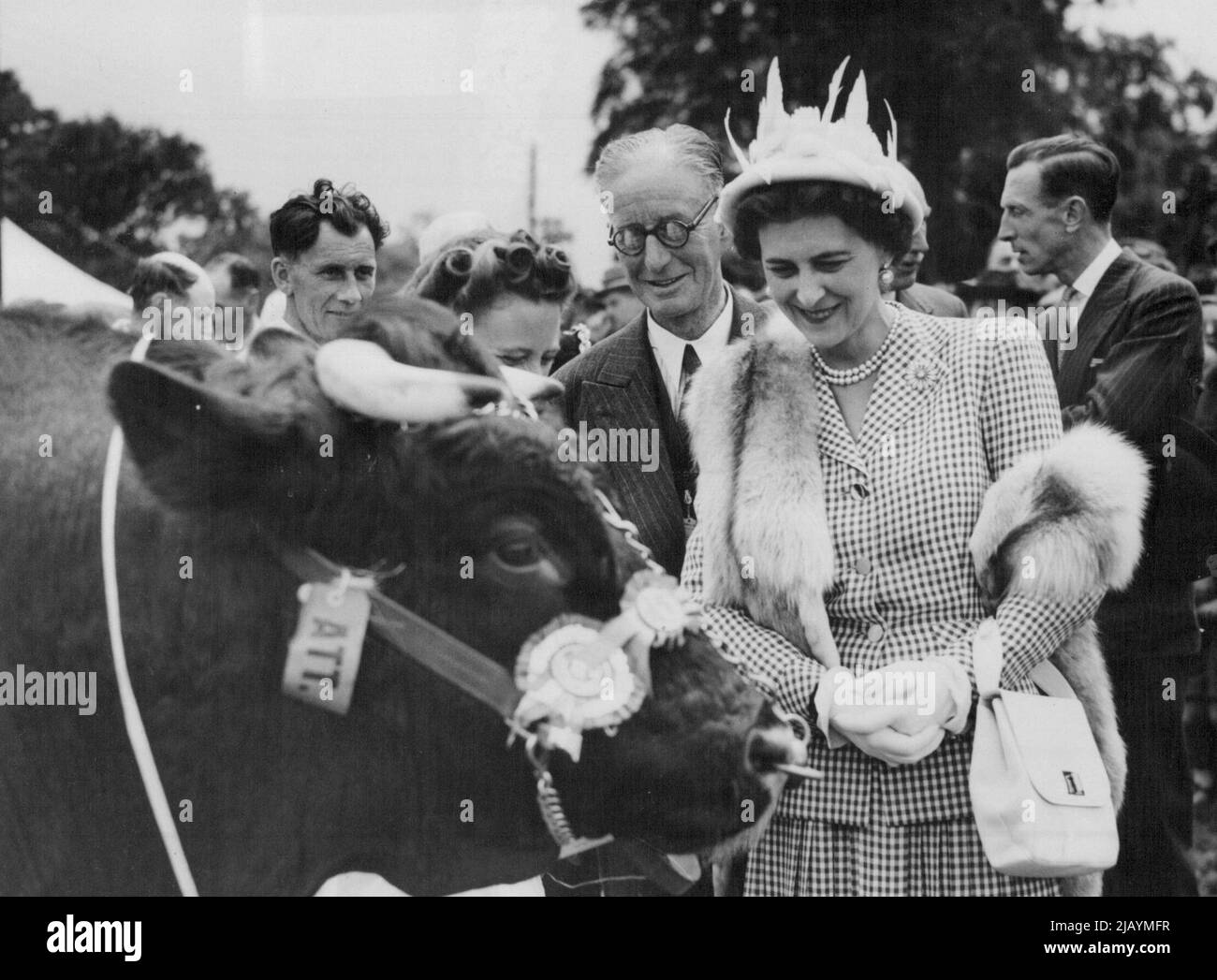 Duchess Admires a Thoroughbred at Kent Agricultural Show - The Duchess ...