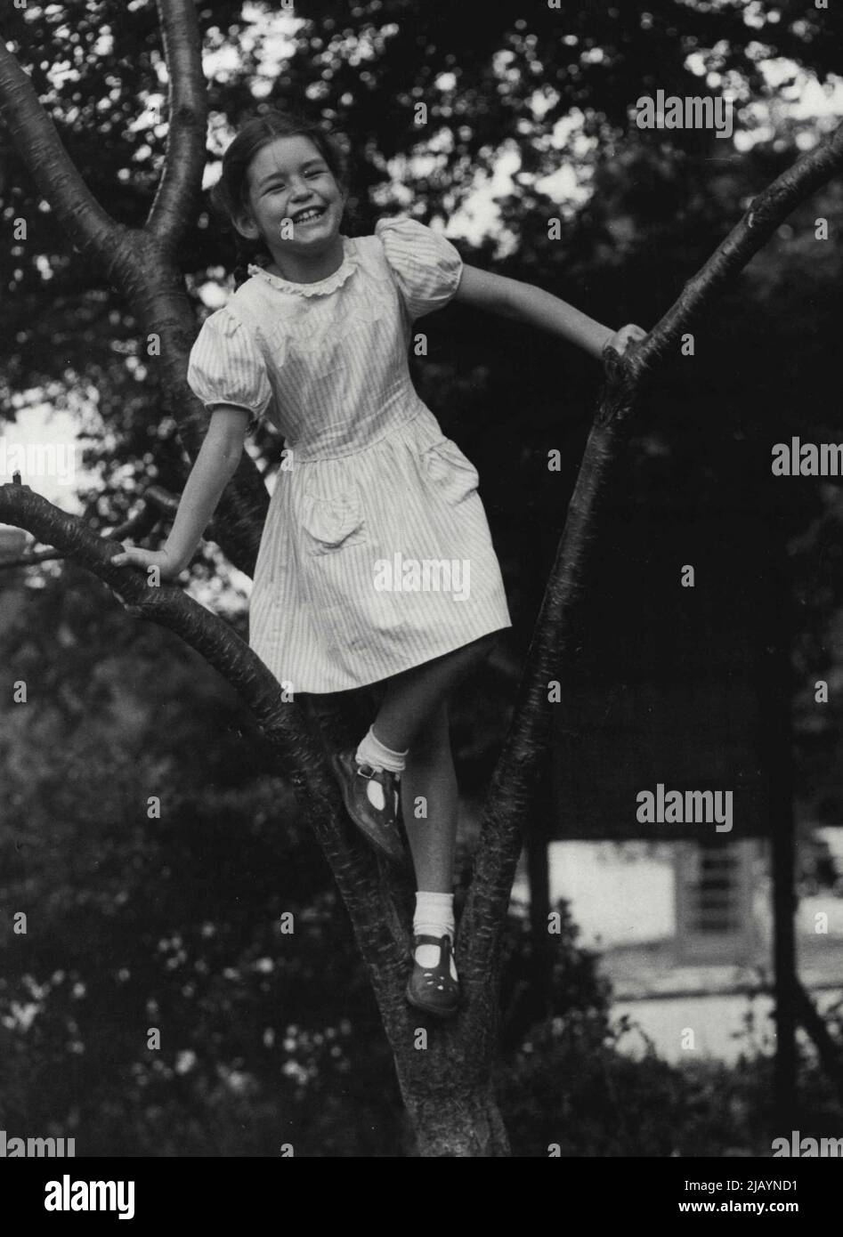 Mandy Miller enjoys her favourite 'Bobby-That of Climbing trees- at ...