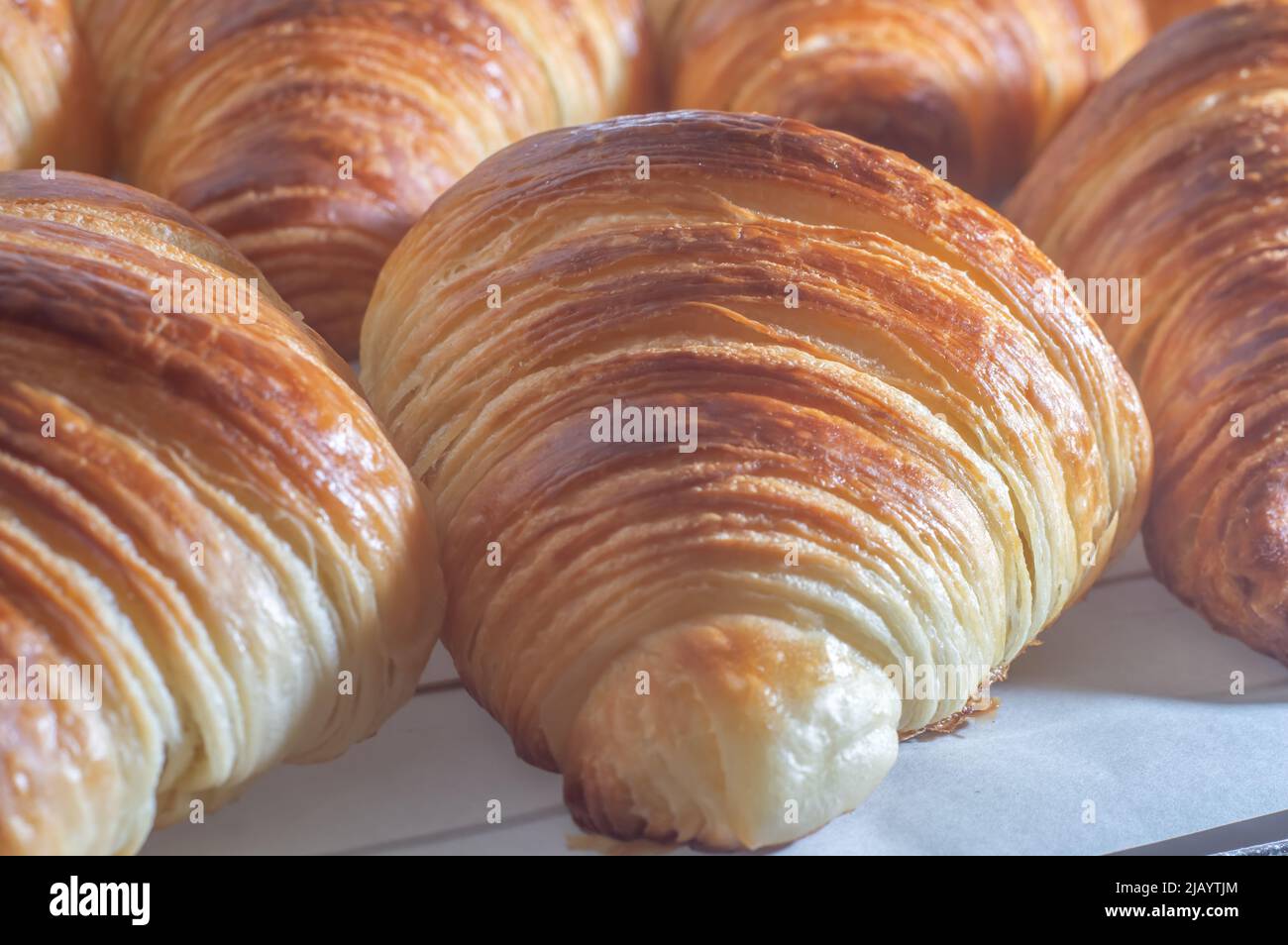 Delicious homemade croissants on a white parchment paper,natural light ...
