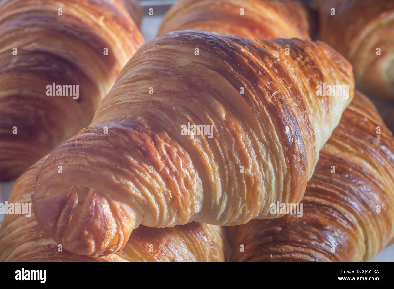 Delicious homemade croissants on a white parchment paper,natural light ...