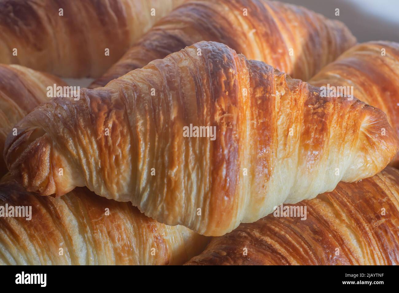 Delicious homemade croissants on a white parchment paper,natural light ...