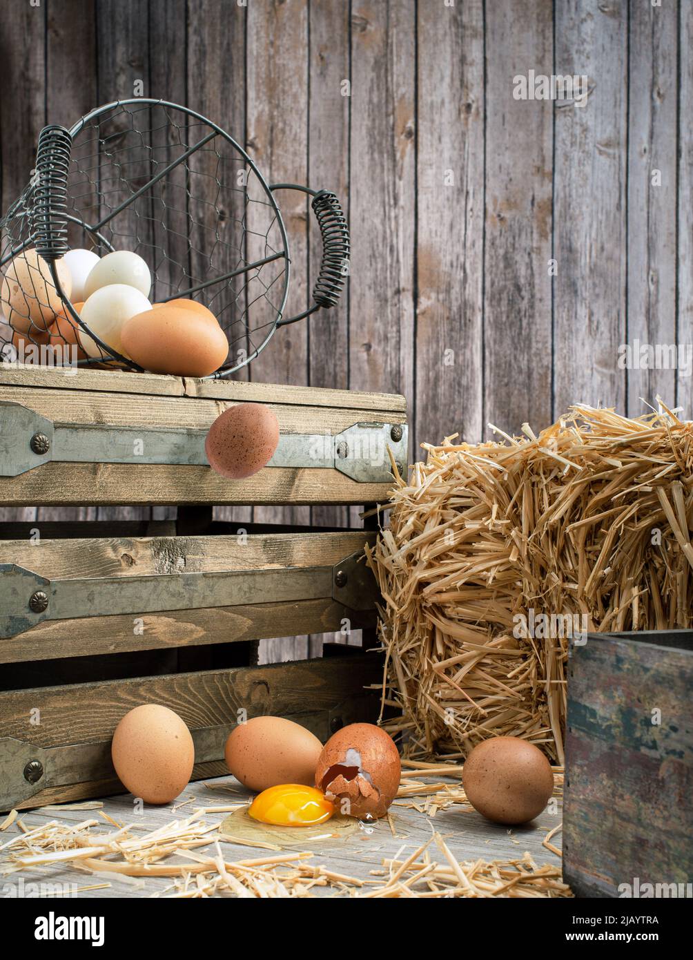 Don't put all your eggs in one basket Stock Photo - Alamy