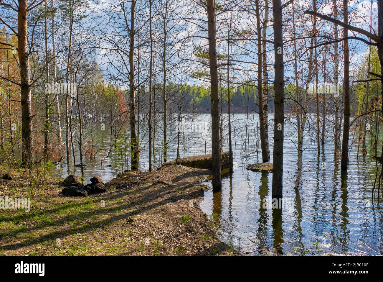 Beautiful spring day on a forest lake. Deep blue cloudy sky and forest ...