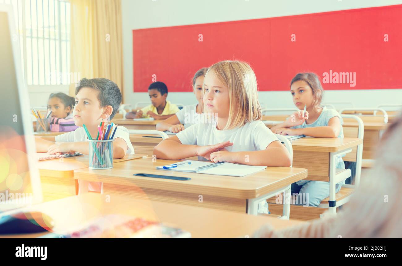 Group of school pupils raise their hands up Stock Photo - Alamy