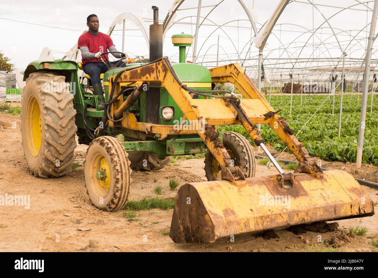 Guy driving farm tractor Stock Photo - Alamy