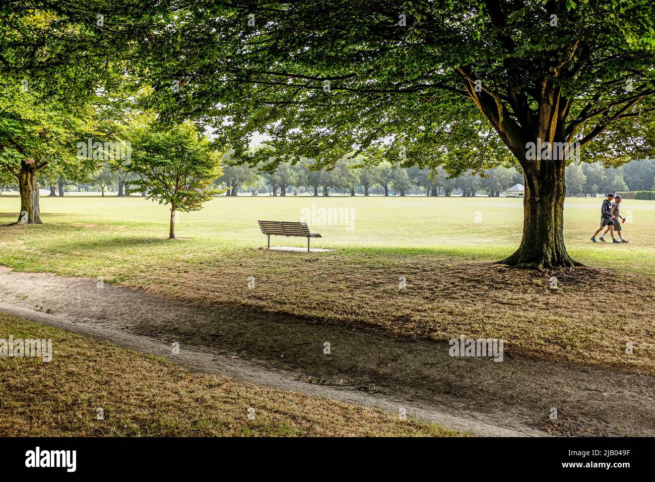 Hagley Park Christchurch, New Zealand. 02/21015 Stock Photo - Alamy