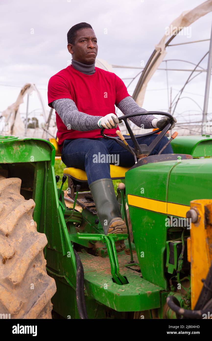 African-american worker farmer working on tractor in orangery Stock ...