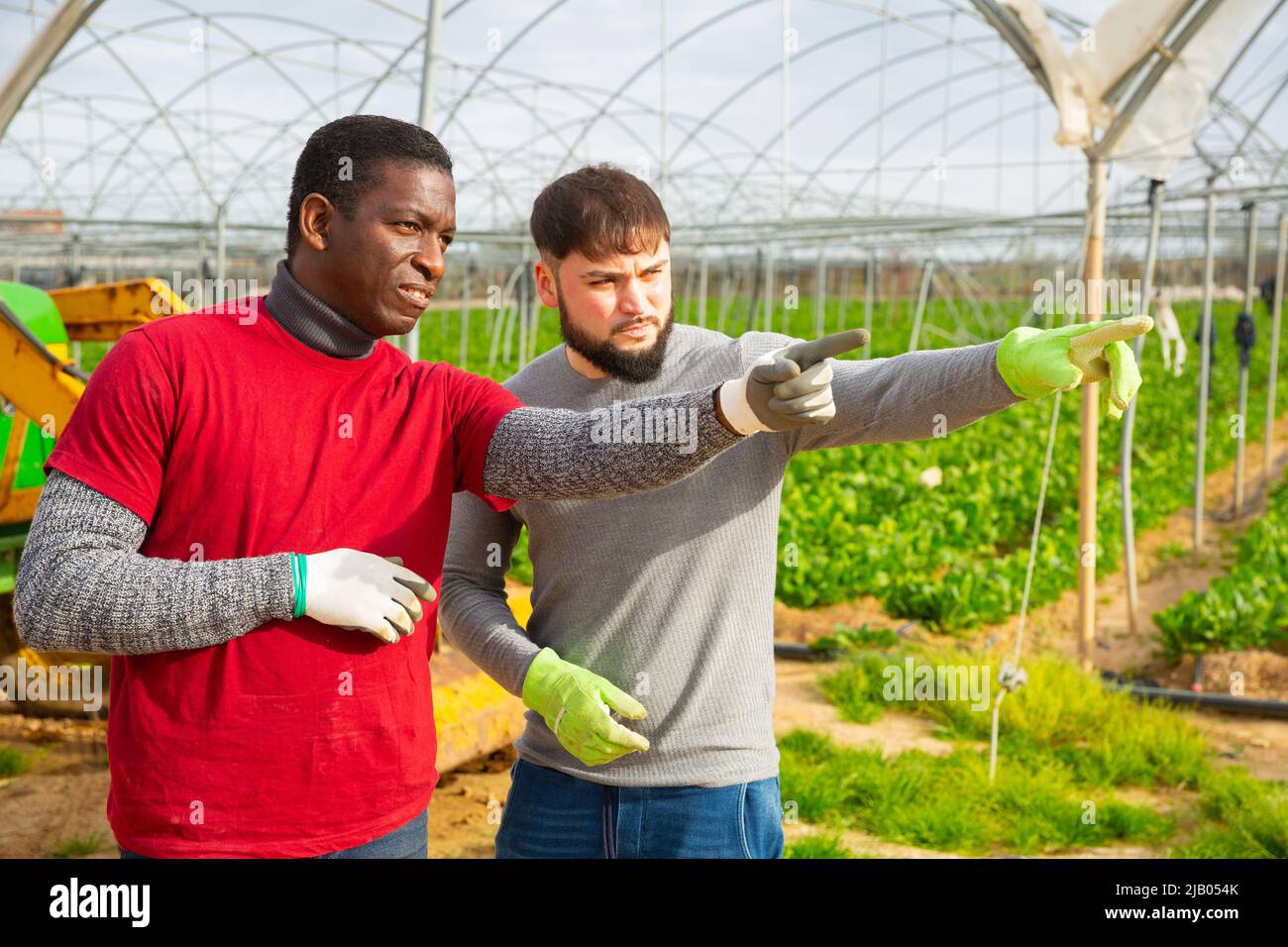 Two farmers talking Stock Photo - Alamy