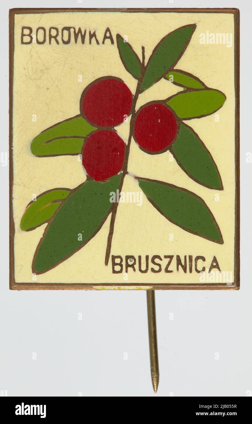 Tourist badge unknown label Stock Photo - Alamy