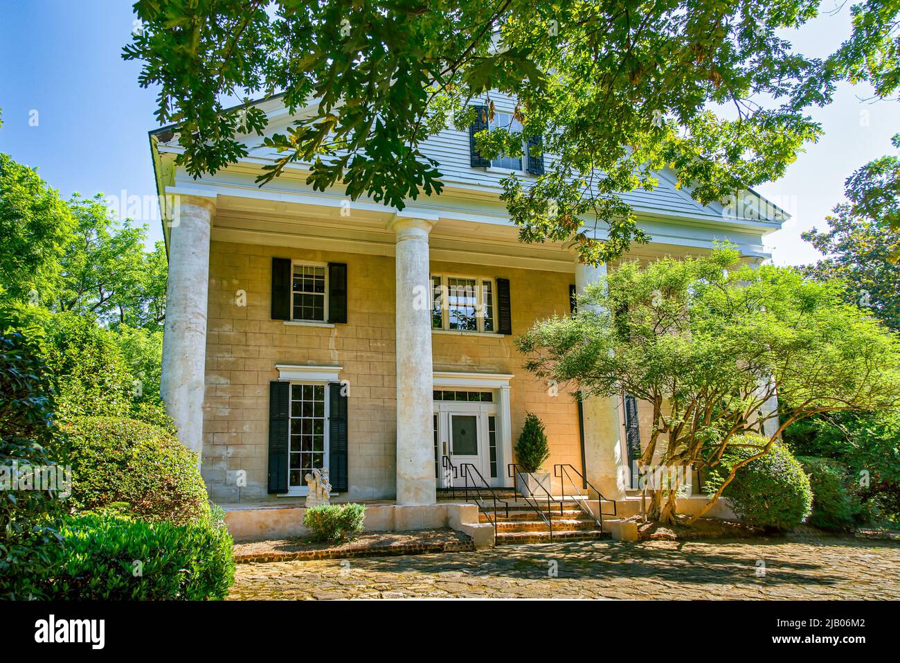 Mimosa estate hi-res stock photography and images - Alamy