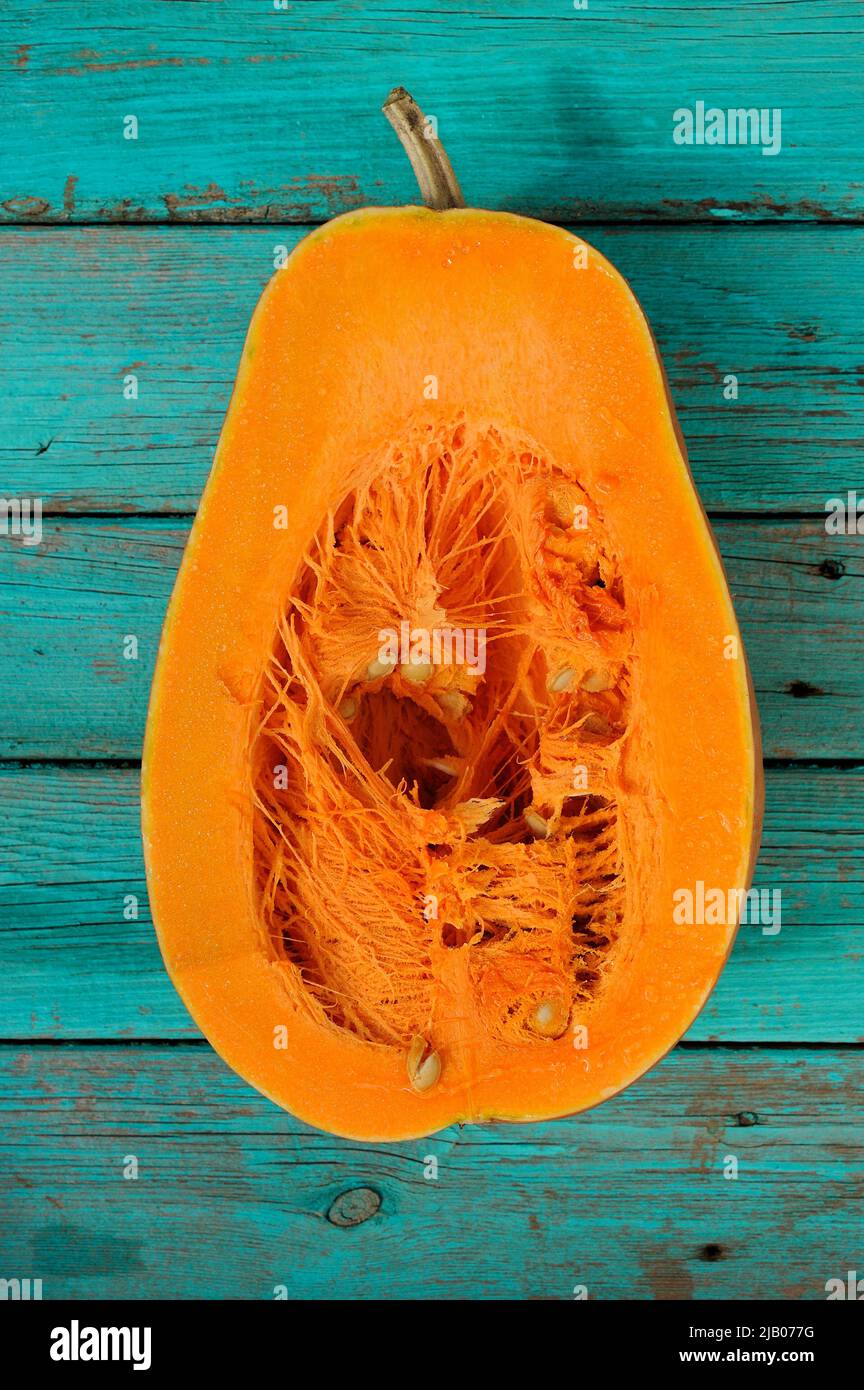 Half of butternut squash on wooden turquoise table vertical Stock Photo ...