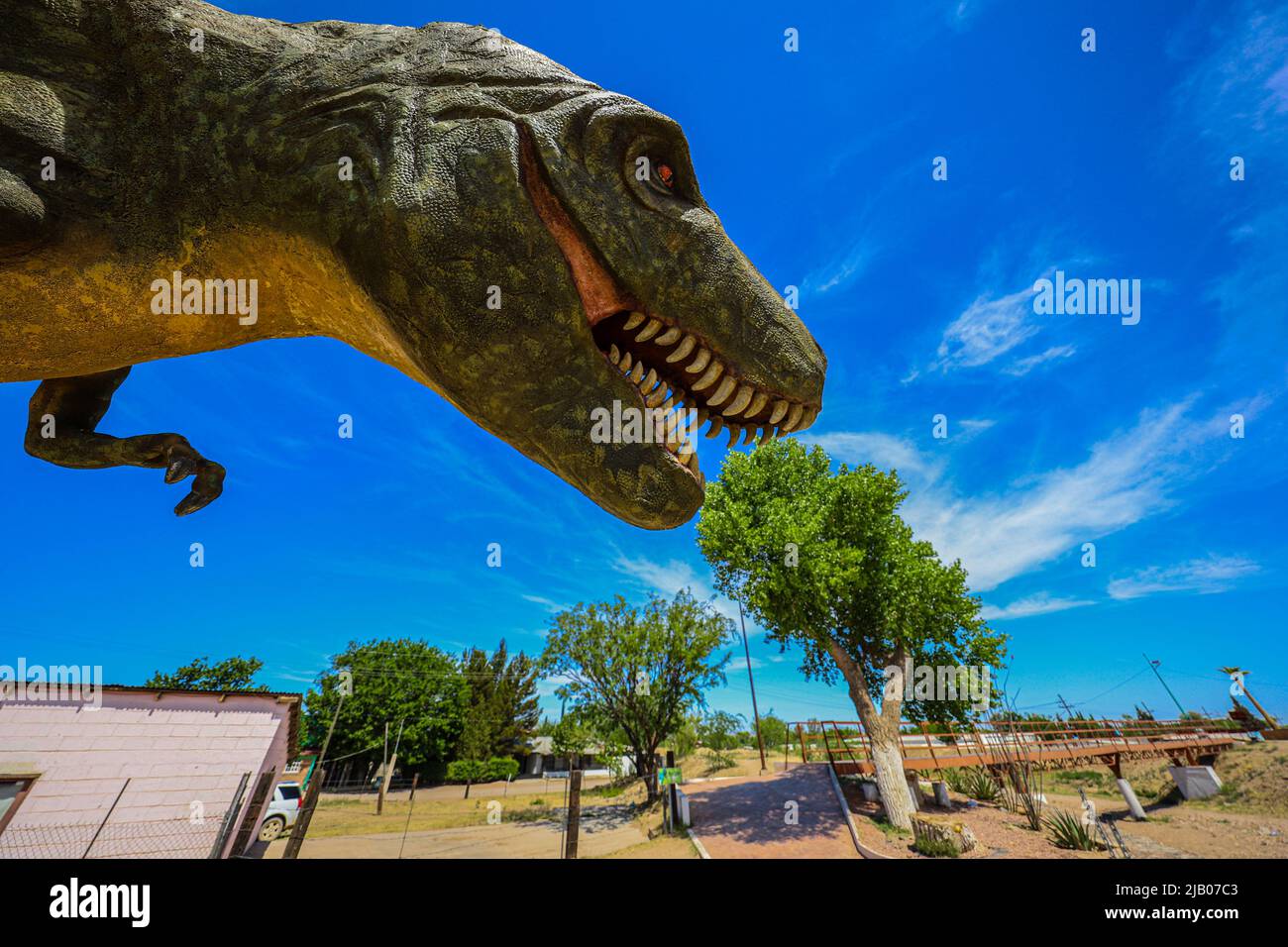A Tyrannosaurus rex dinosaur sculpture in Esqueda, Mexico. Pueblo ...