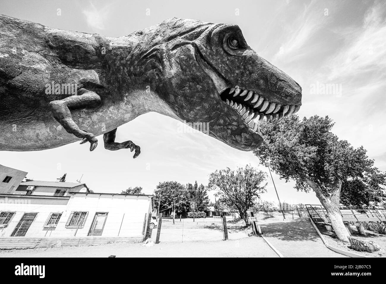 A Tyrannosaurus rex dinosaur sculpture in Esqueda, Mexico. Pueblo ...