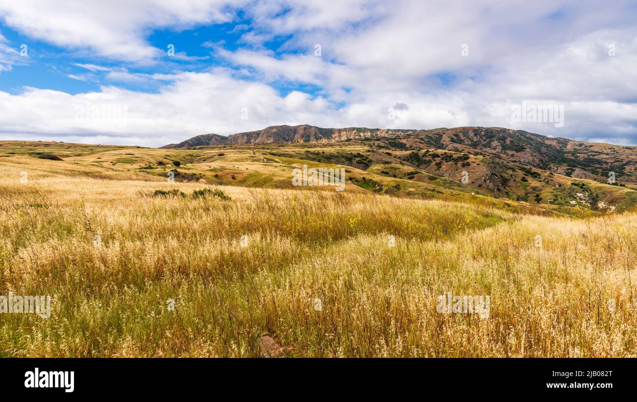 Montanon Ridge from the Smugglers Cove Trail, Santa Cruz Island ...