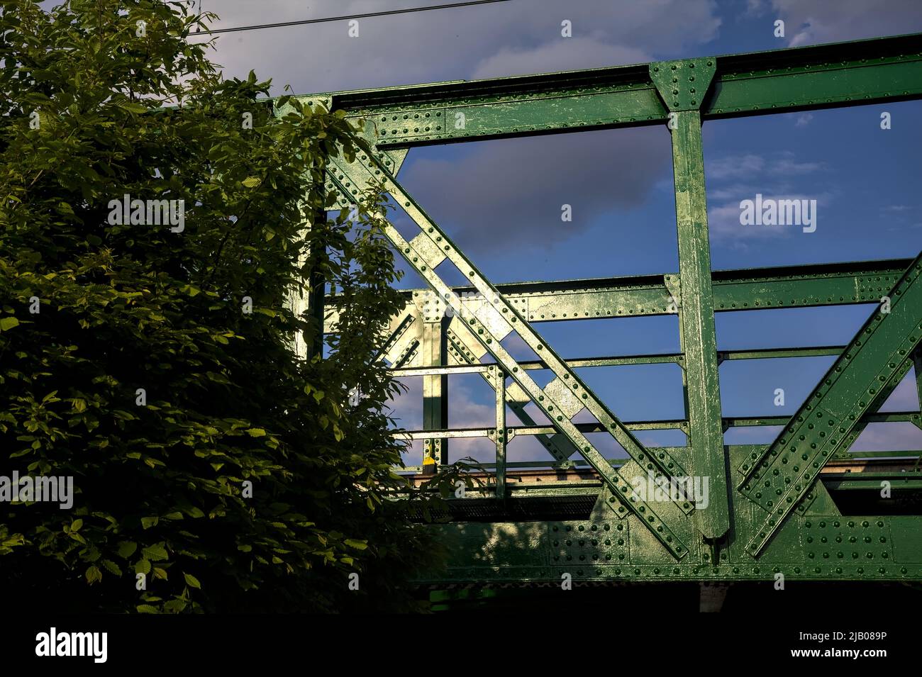 Portion of the structure of a railroad bridge framed by a tree Stock ...