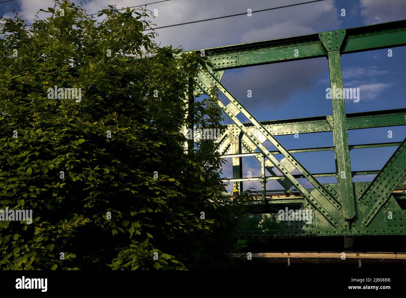 Tree framed structure hi-res stock photography and images - Alamy