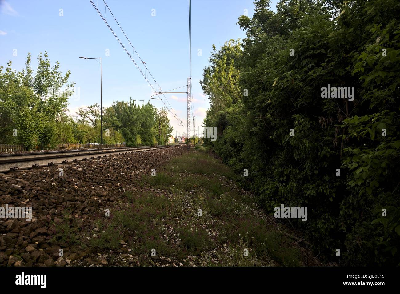 Railroad track on an embankment in a park at sunset Stock Photo - Alamy