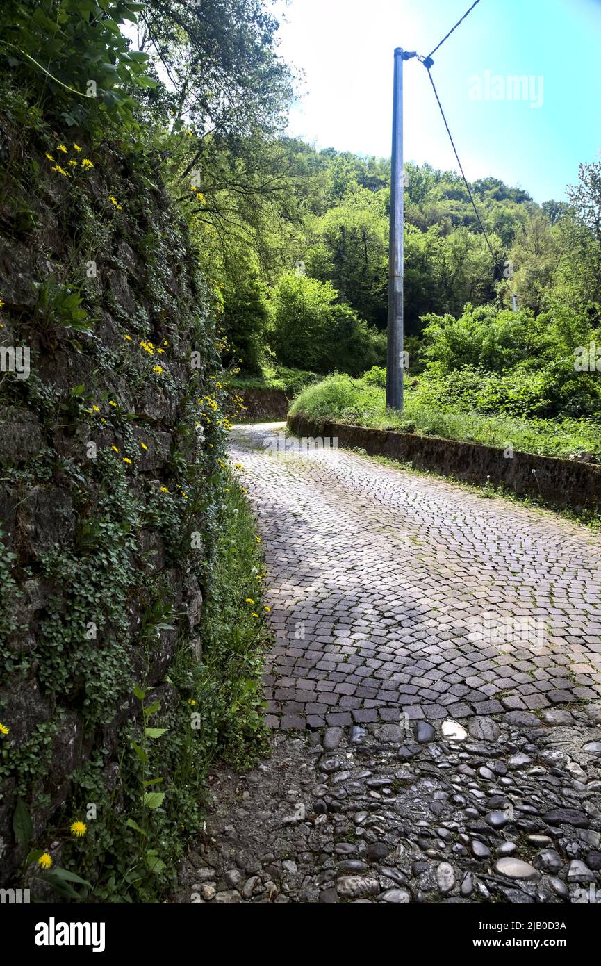 Paved road with dandelions at its edge bordered by a stone brick wall ...