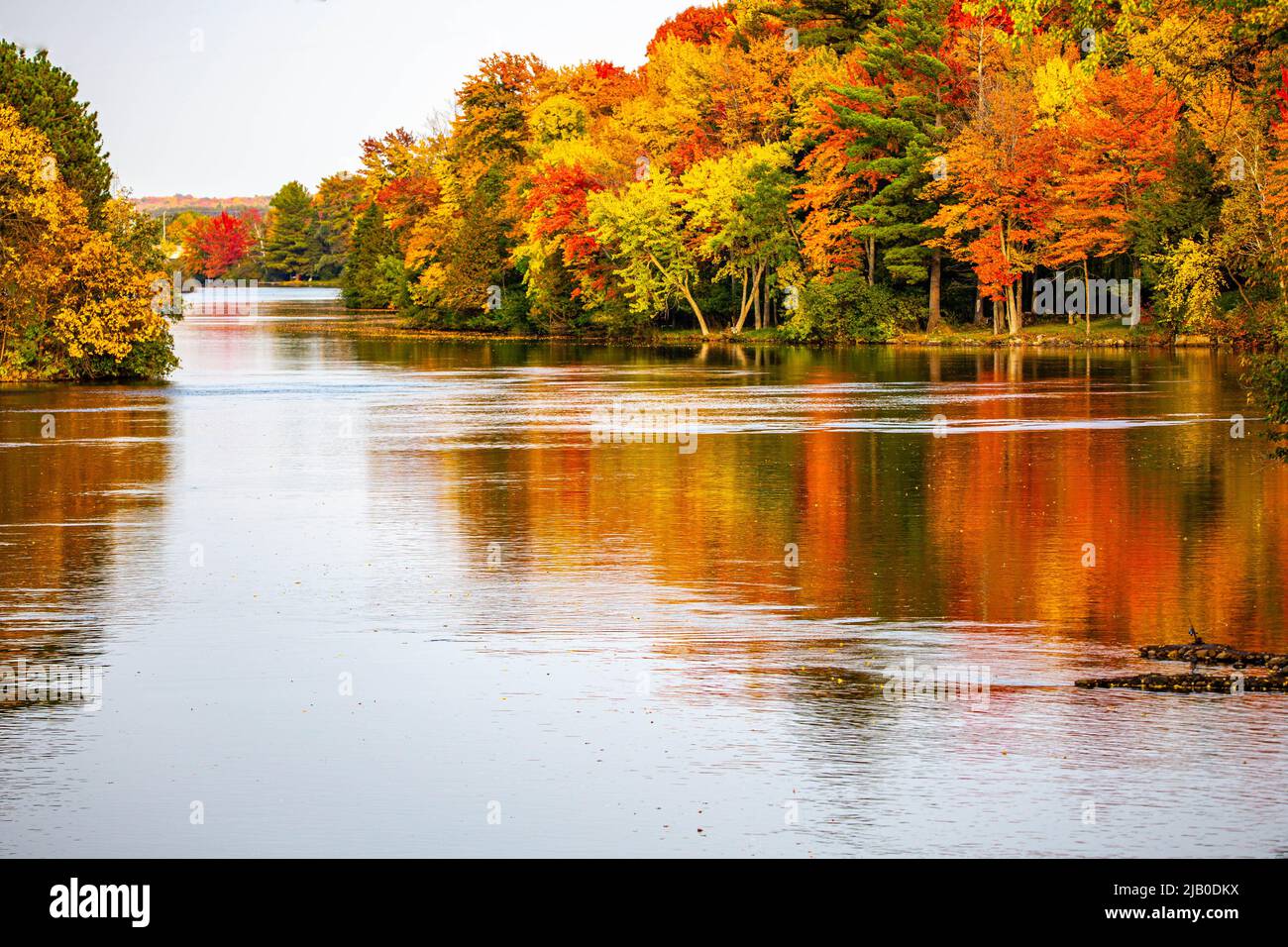 Septemberwilderness hi-res stock photography and images - Alamy