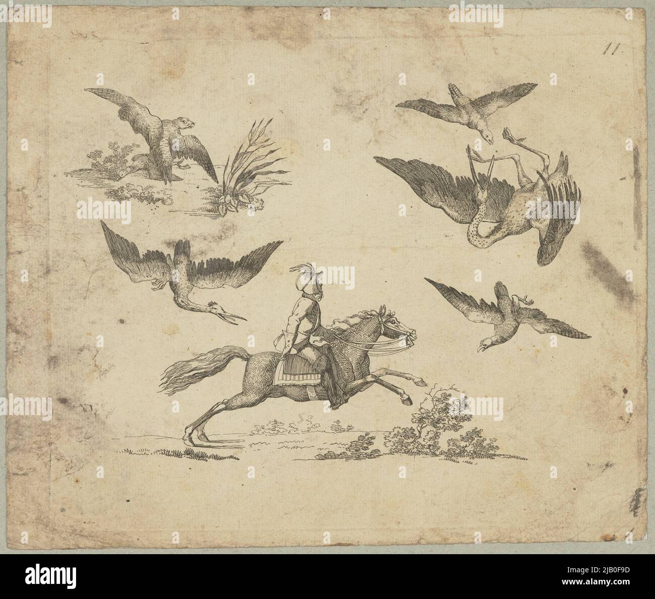 A rider and five birds in flight unknown Stock Photo - Alamy