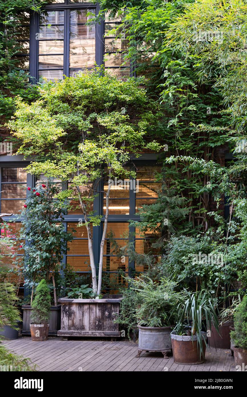 Landscaping of urban public spaces with different potted plants ...