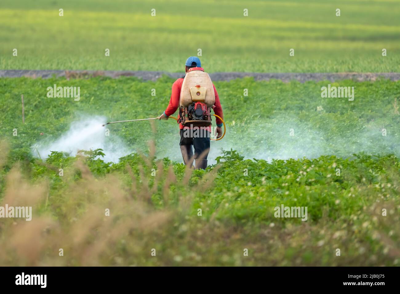 Farmer spraying pesticide hi-res stock photography and images - Alamy