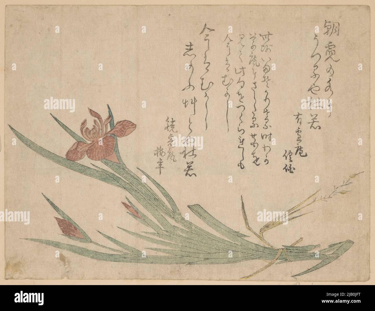 Baiso hi-res stock photography and images - Alamy