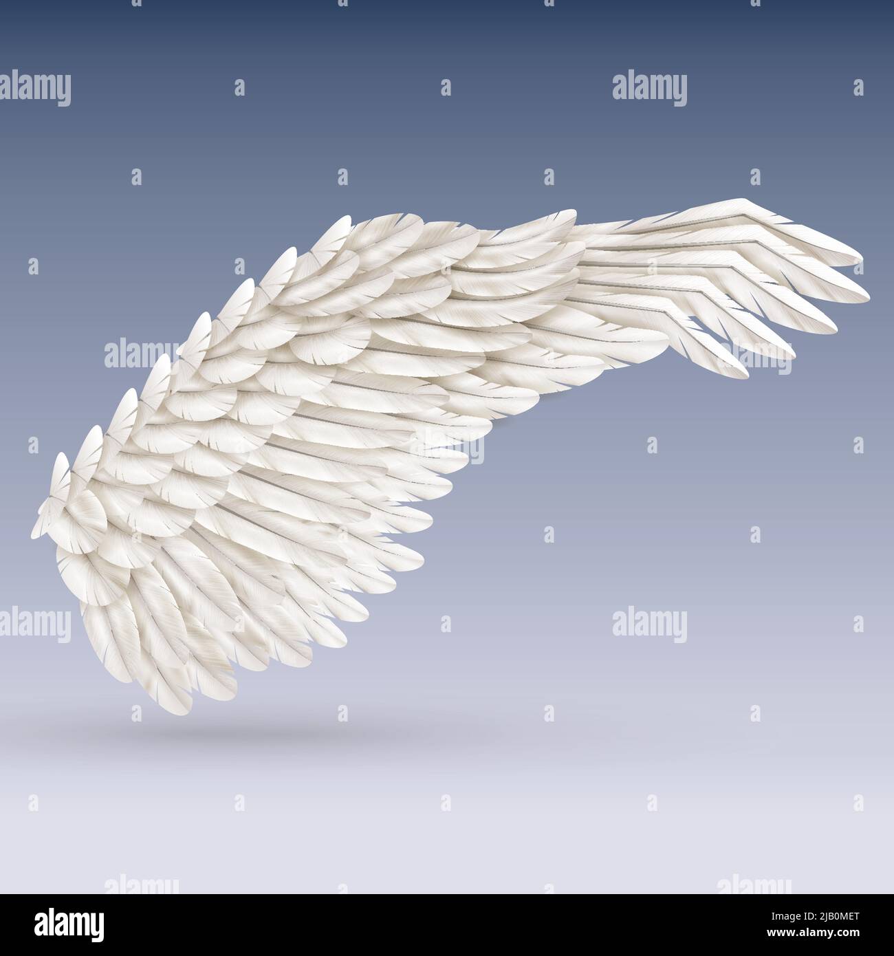 Single white big bird wing on blue background with shadow realistic ...