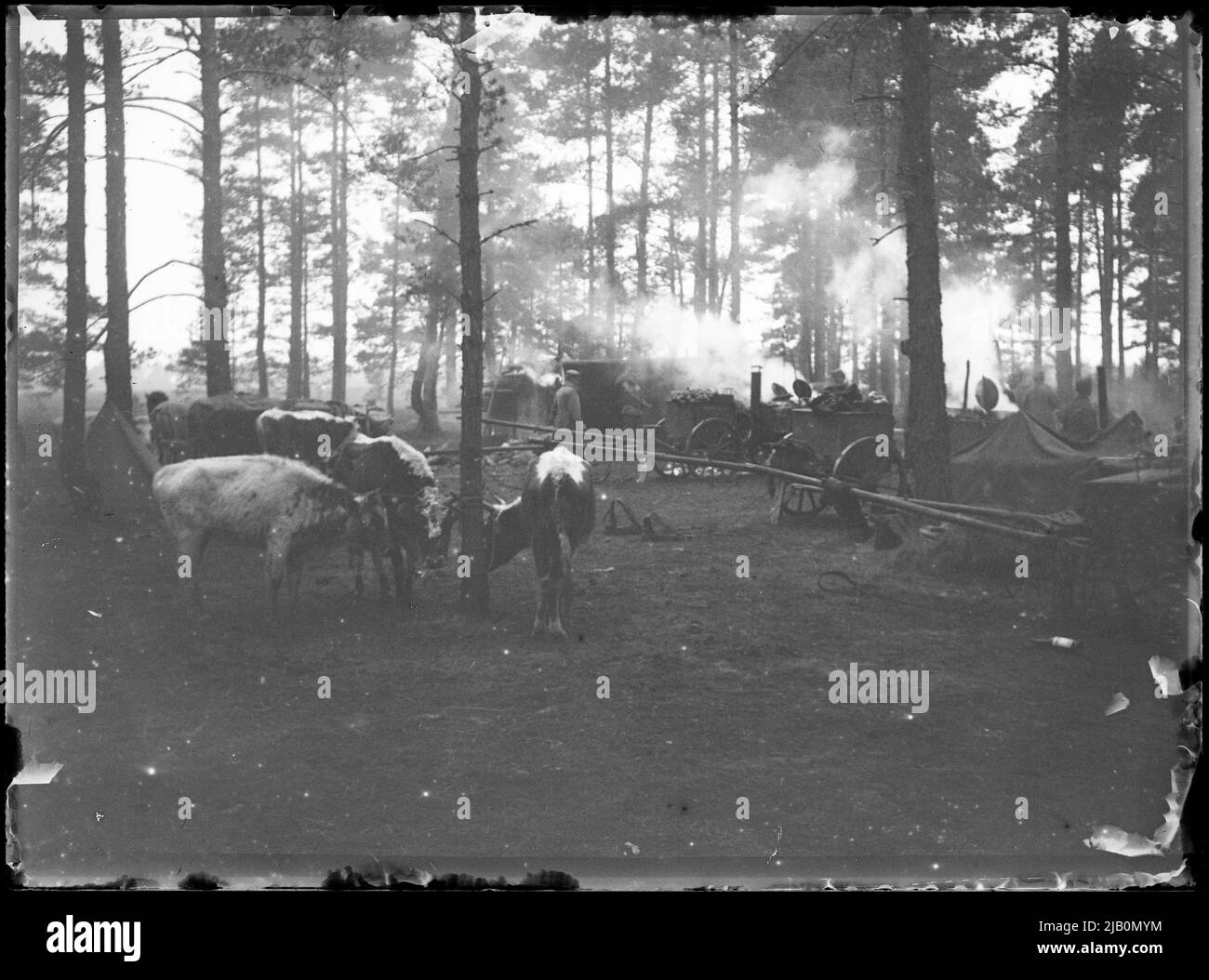 Field kitchens of the 2nd Brigade of the Polish Legions. Front of the ...