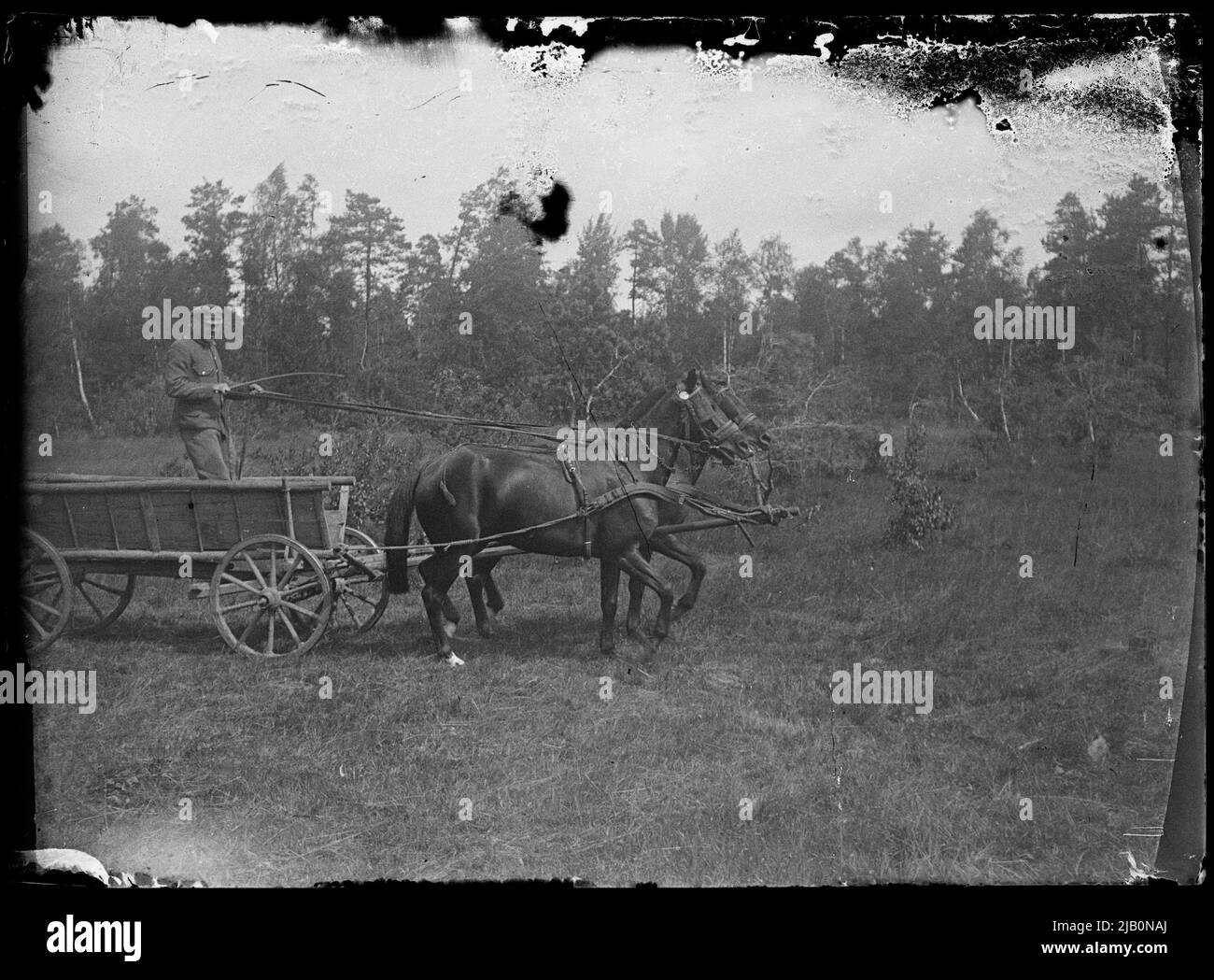 Provision cart. Front of the Polish Legions in Volhynia. Janowski ...
