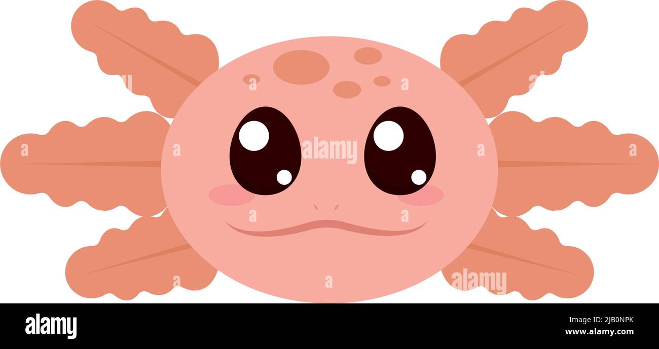 cartoon axolotl smiling Stock Vector Image & Art - Alamy