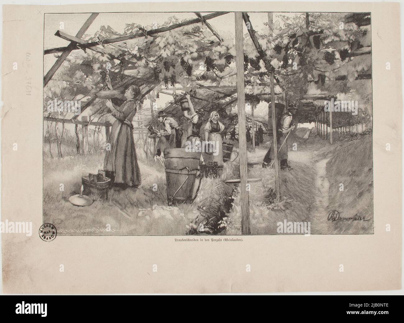 A collection of grapes and a village of wine in Bozen according to ...