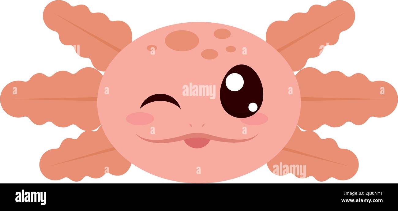 axolotl face icon Stock Vector Image & Art - Alamy