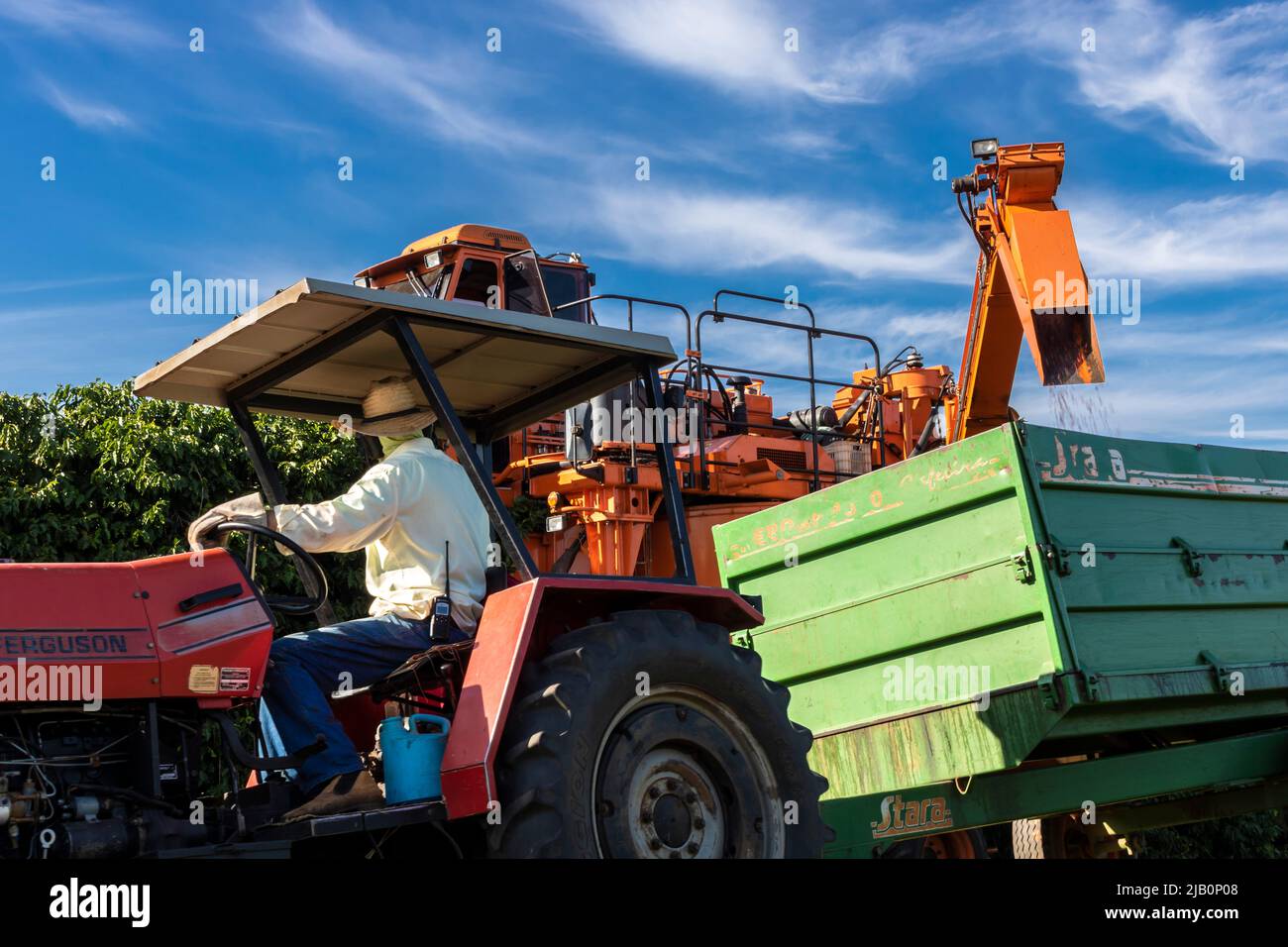 Coffee harvesting machine hi-res stock photography and images - Alamy
