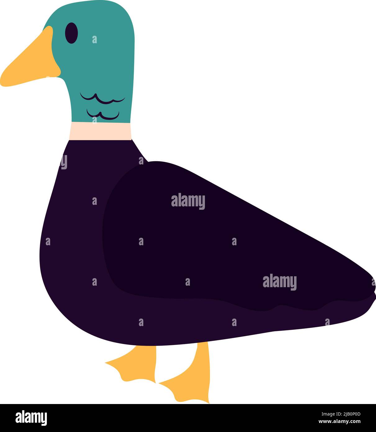 cute duck icon Stock Vector Image & Art - Alamy