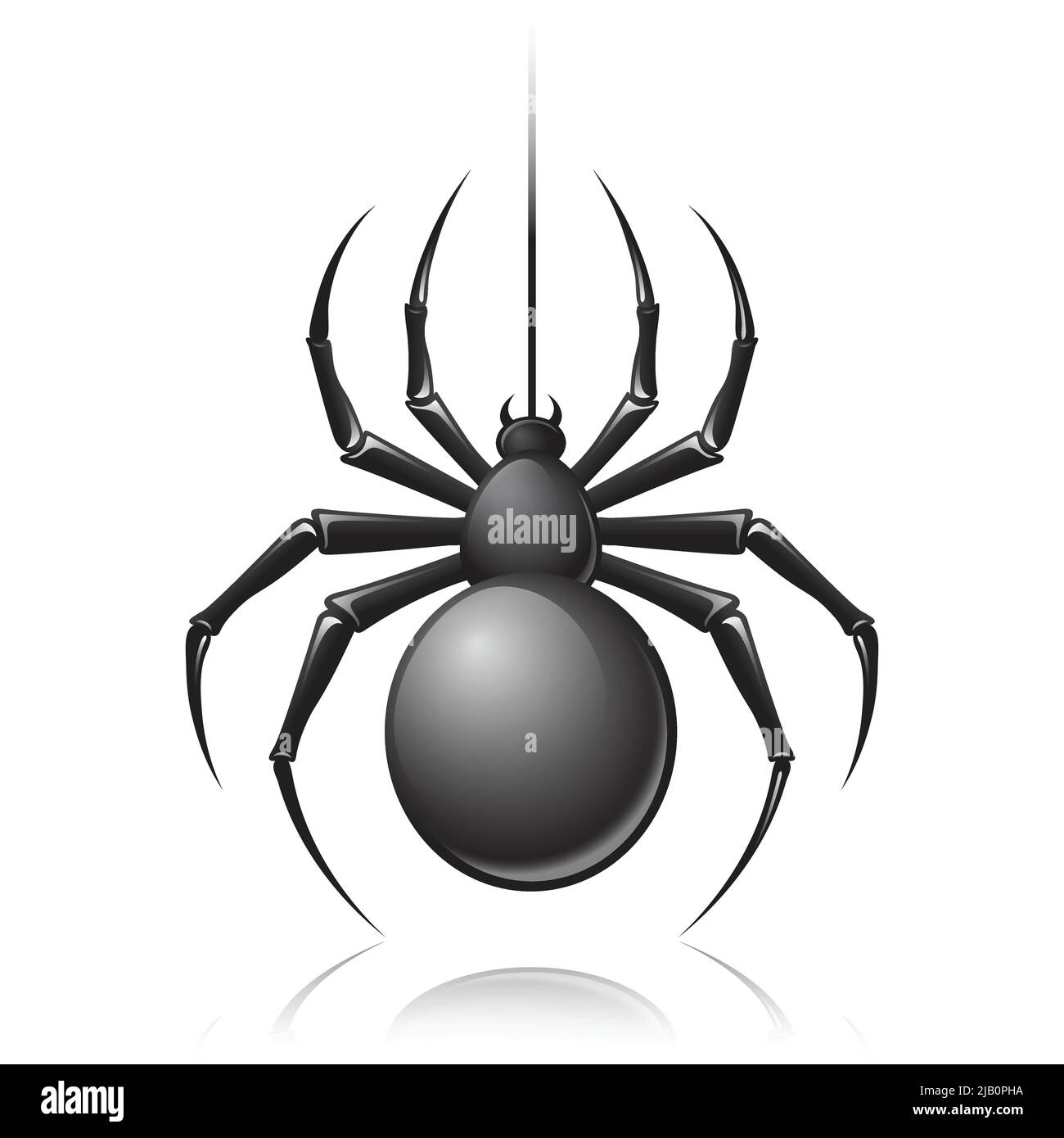 Black scary spider insect isolated on white background emblem vector ...