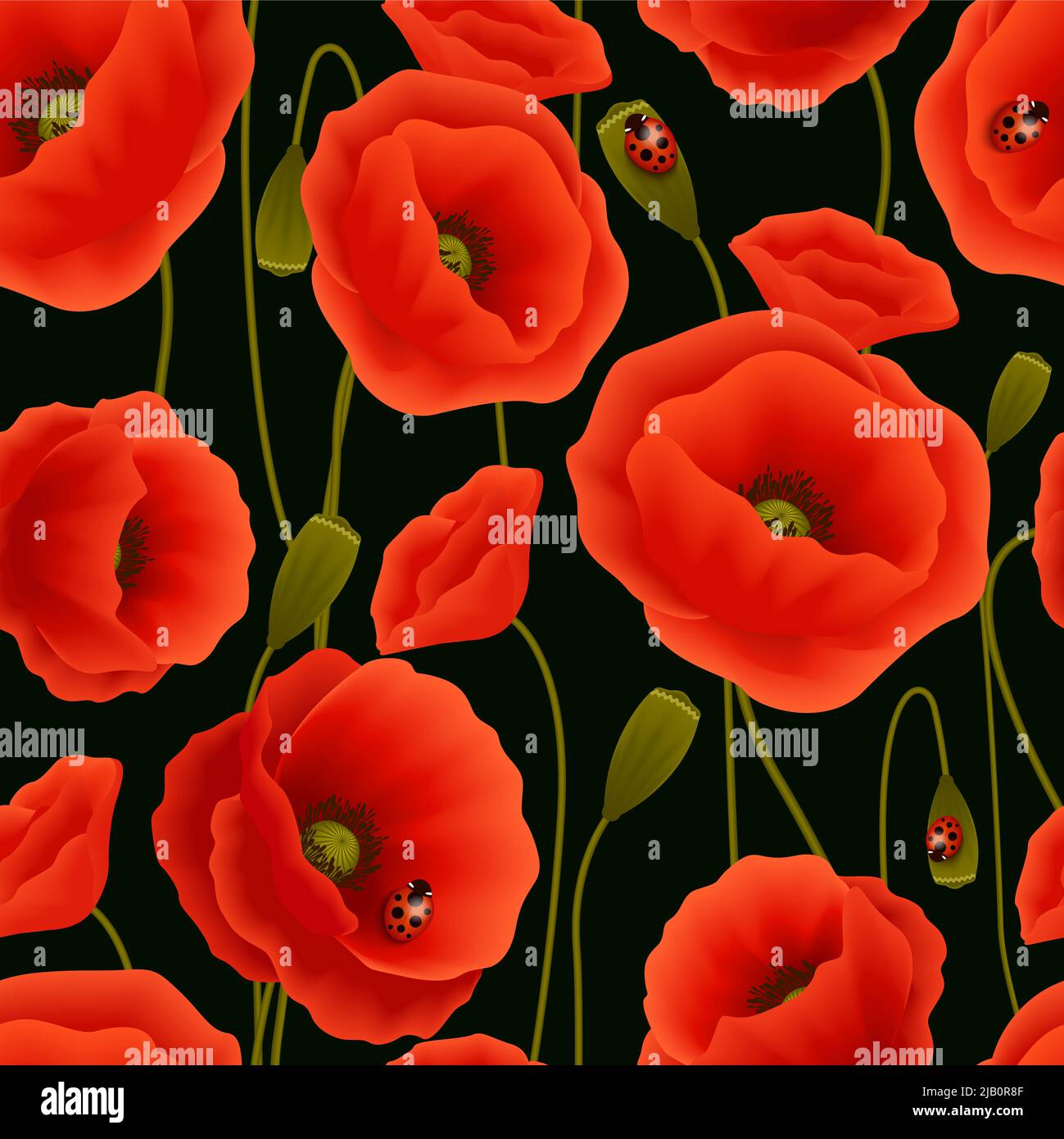 Romantic floral seamless pattern of poppy flowers and ladybirds vector ...